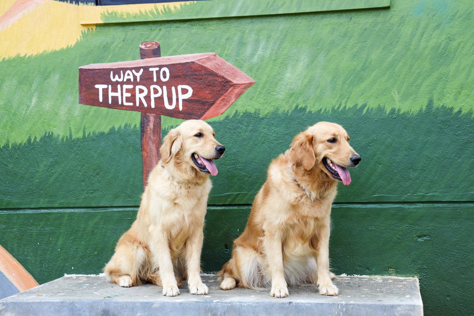 Cottage - Therpup - Whitefield