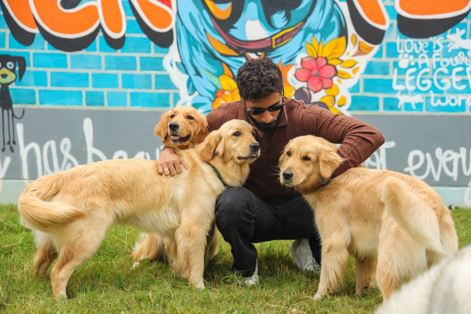 Pet Birthday & Events Venue in Bangalore | Therpup